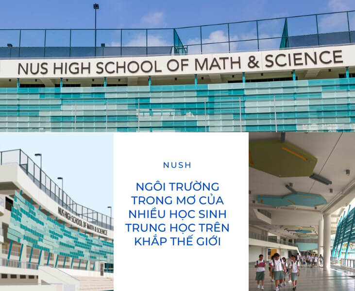 “Tất tần tật” thông tin về NUSH - Học bổng du học Singapore toàn phần cho Arcers